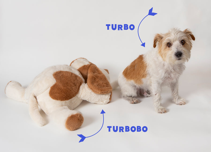 “Meet Turbobo, your anxiety reducing best friend!” – Turbo Relief LLC